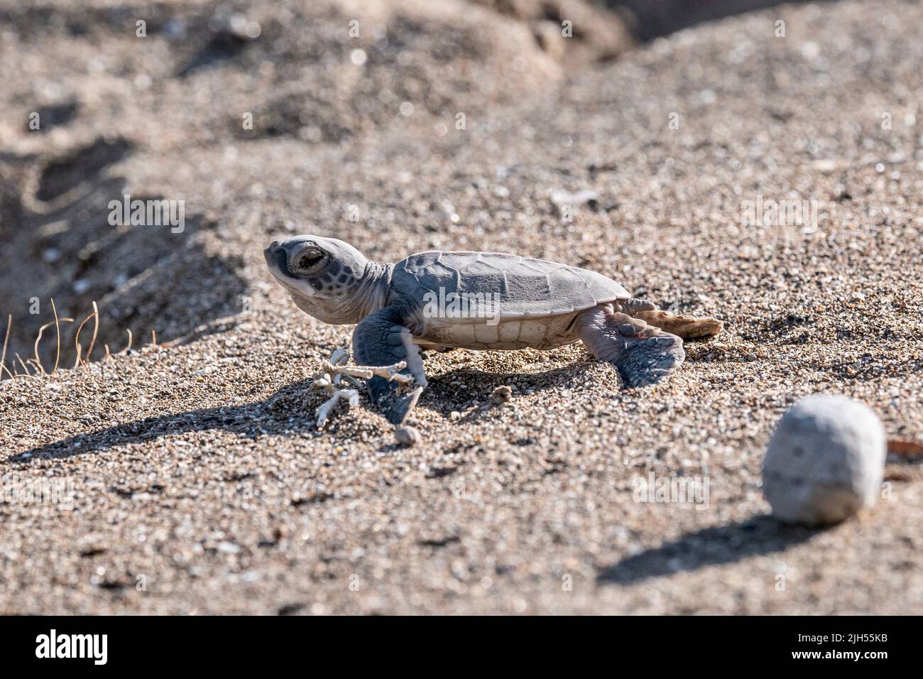 Moyà Beach moment between hike at Dziani lake, surfing at Moyà beach 2 ...