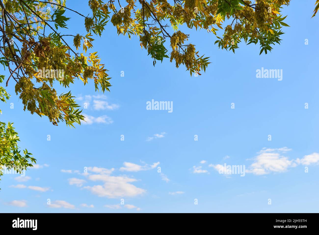 Sky daylight. Natural sky composition. Element of design Stock Photo ...