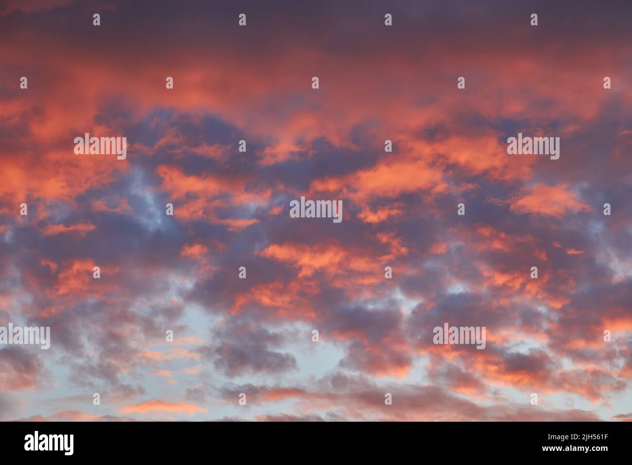 Cloudscape of cumulus sunset clouds with sunlight Stock Photo - Alamy