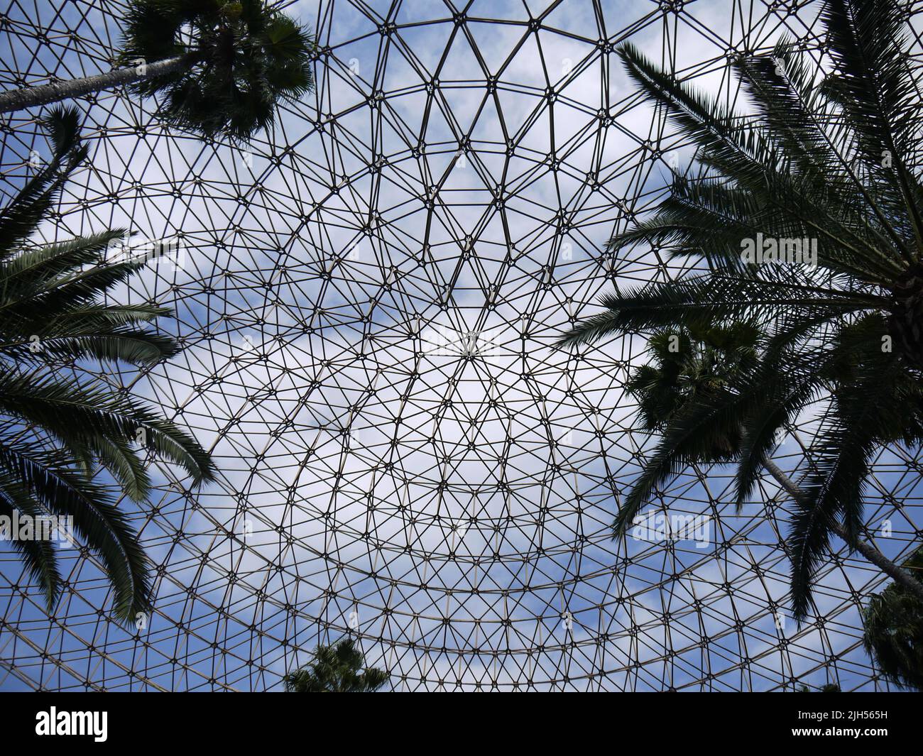 Geodesic Dome with Palm Trees at Universal CityWalk, Universal Studios ...