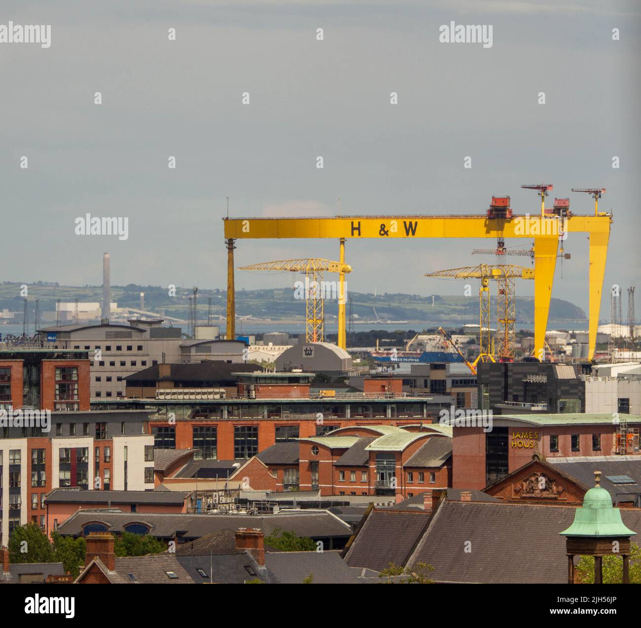 Harlem and wolf cranes viewed across the city roof tops of Belfast city ...