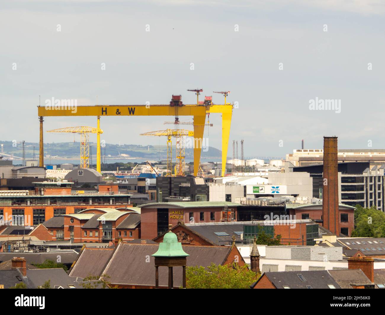 Harlem and wolf cranes viewed across the city roof tops of Belfast city ...
