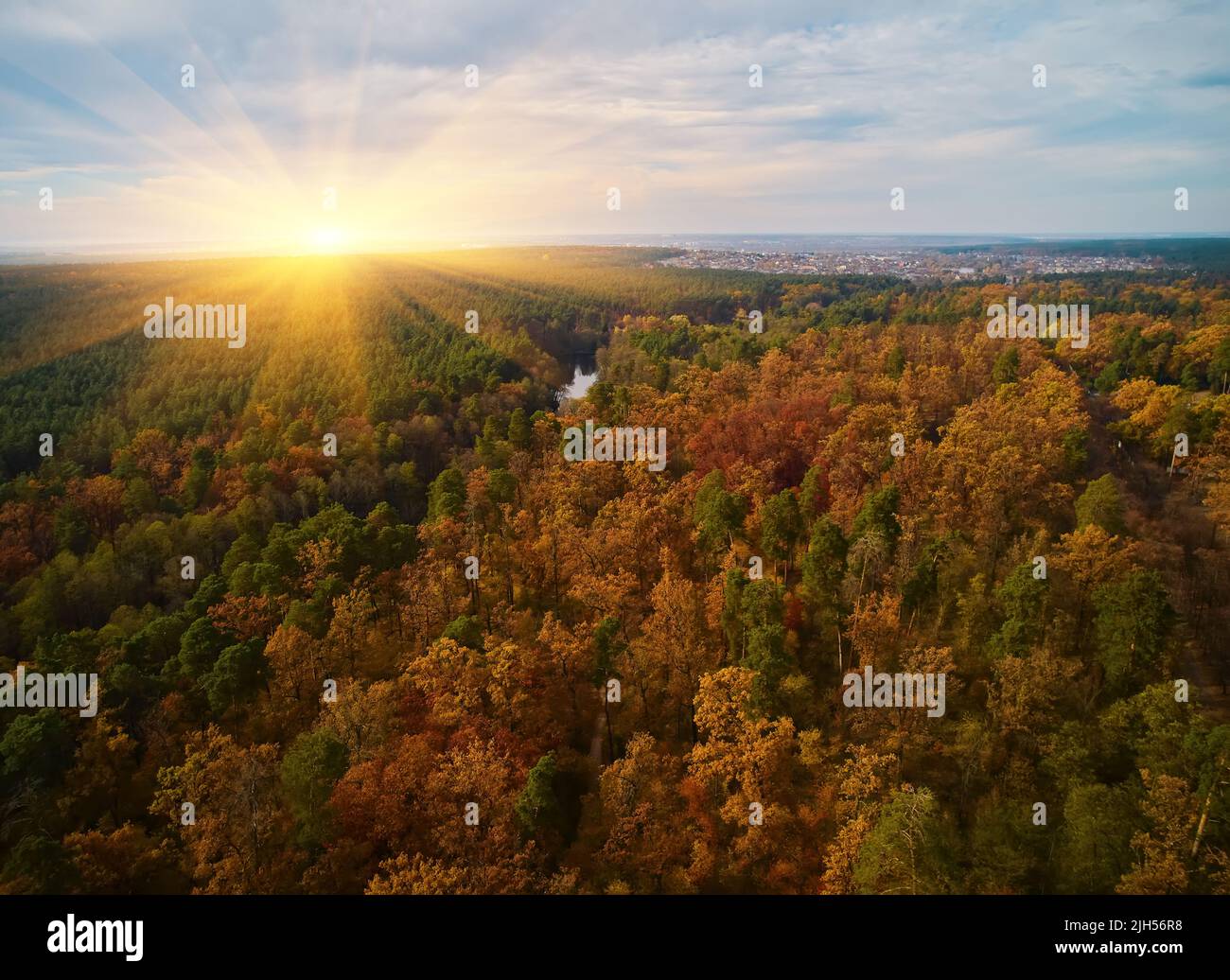 Aerial top down view of autumn forest with green and yellow trees ...