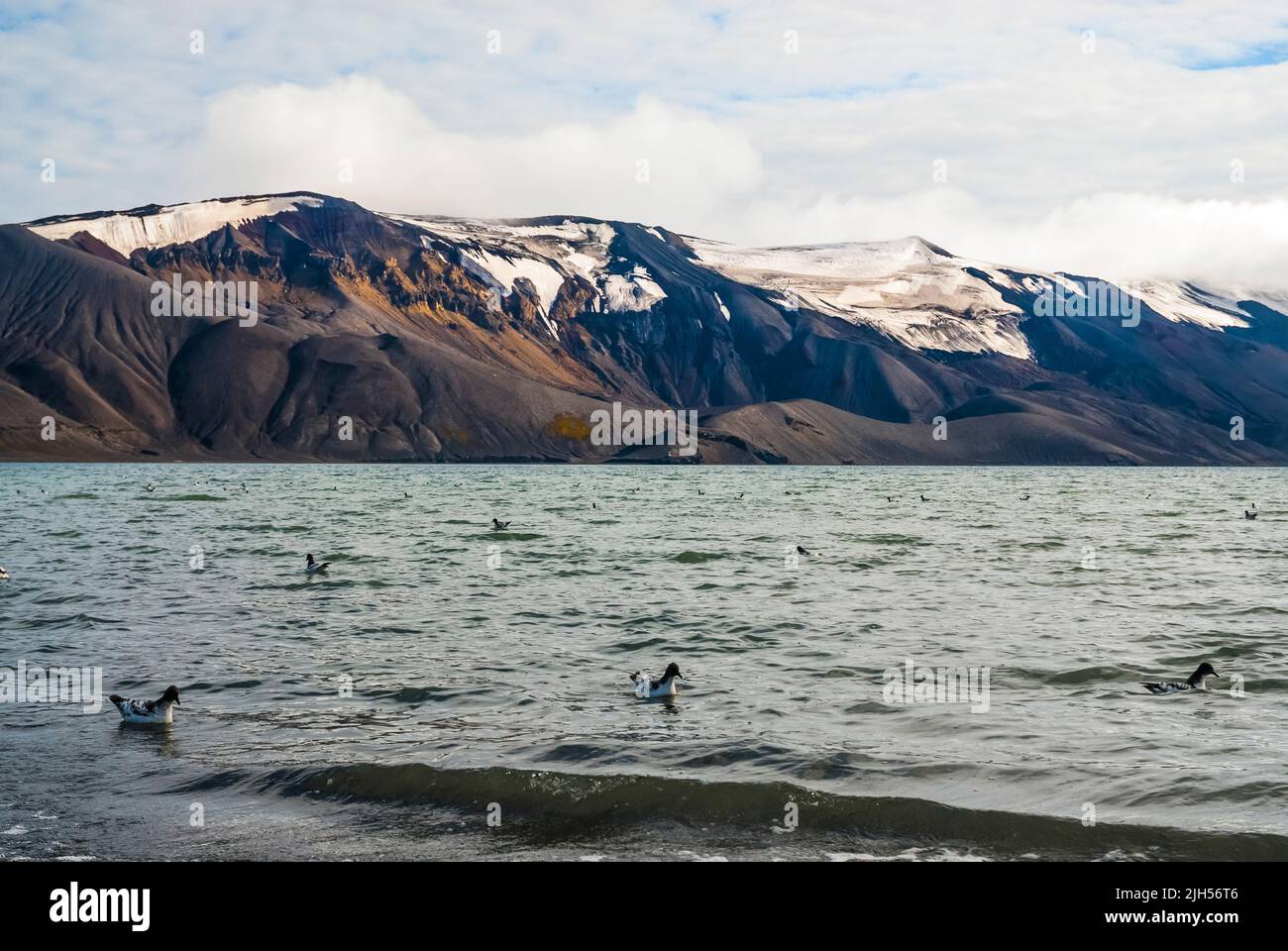 Deception island antartica hi-res stock photography and images - Alamy