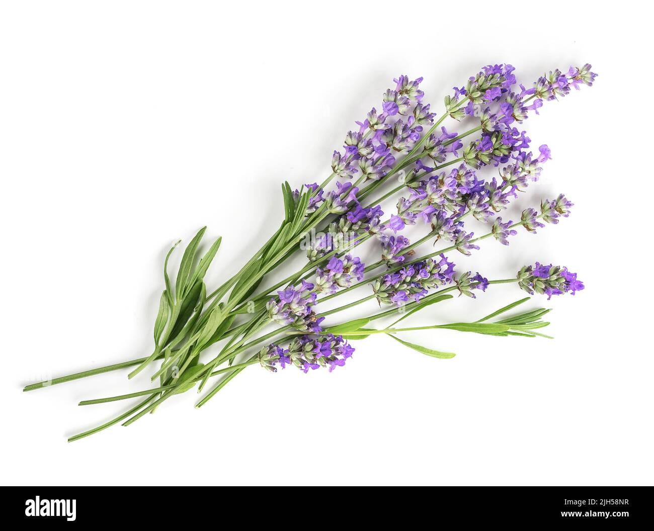 Bundle of flowers hi-res stock photography and images - Alamy