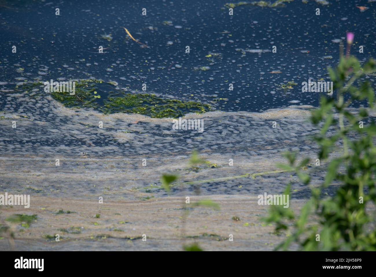 Eton Wick Uk 15th July 2022 Pollution On The Jubilee River Adjacent