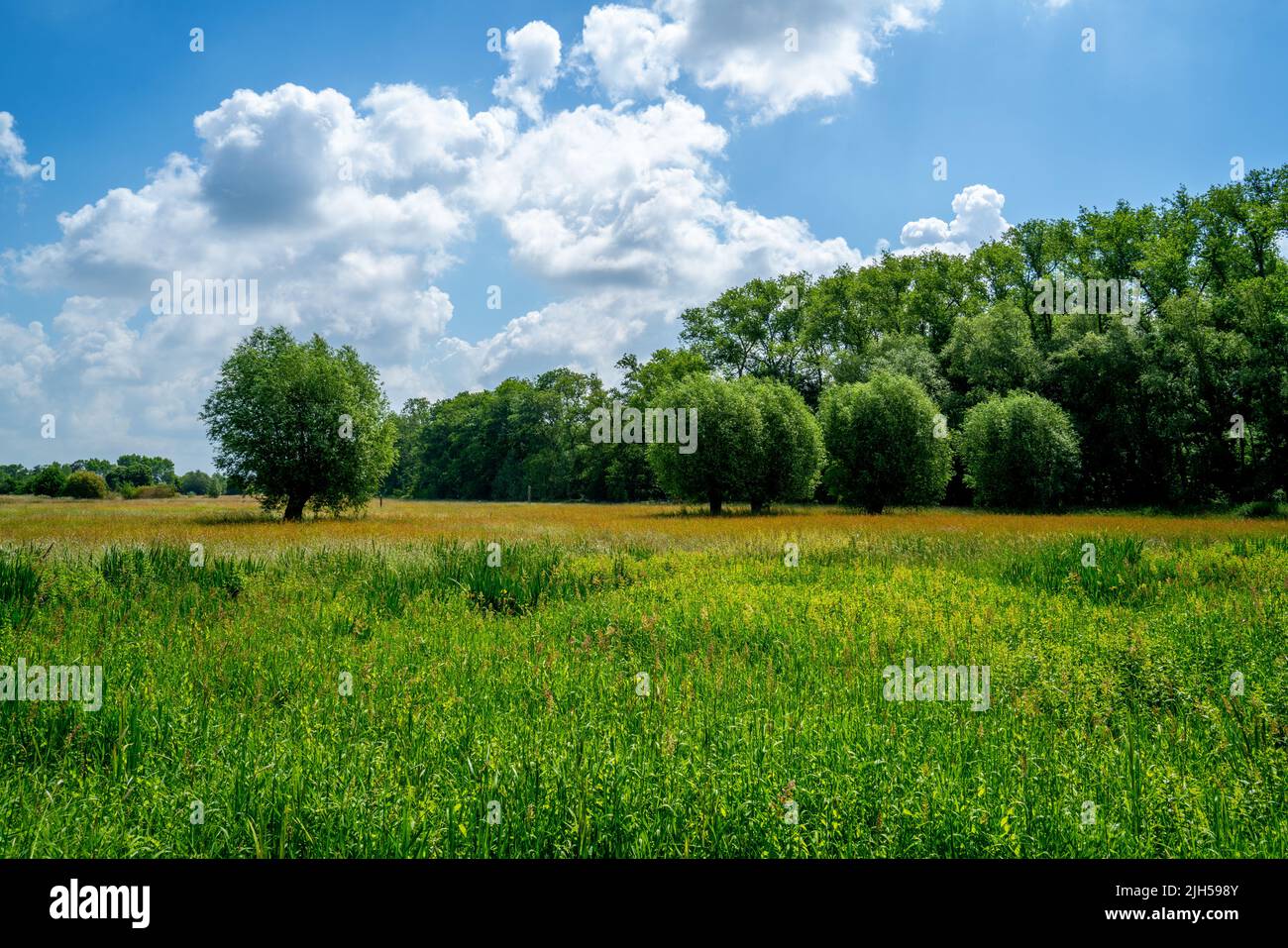 Westhoek nature reserve hi-res stock photography and images - Alamy