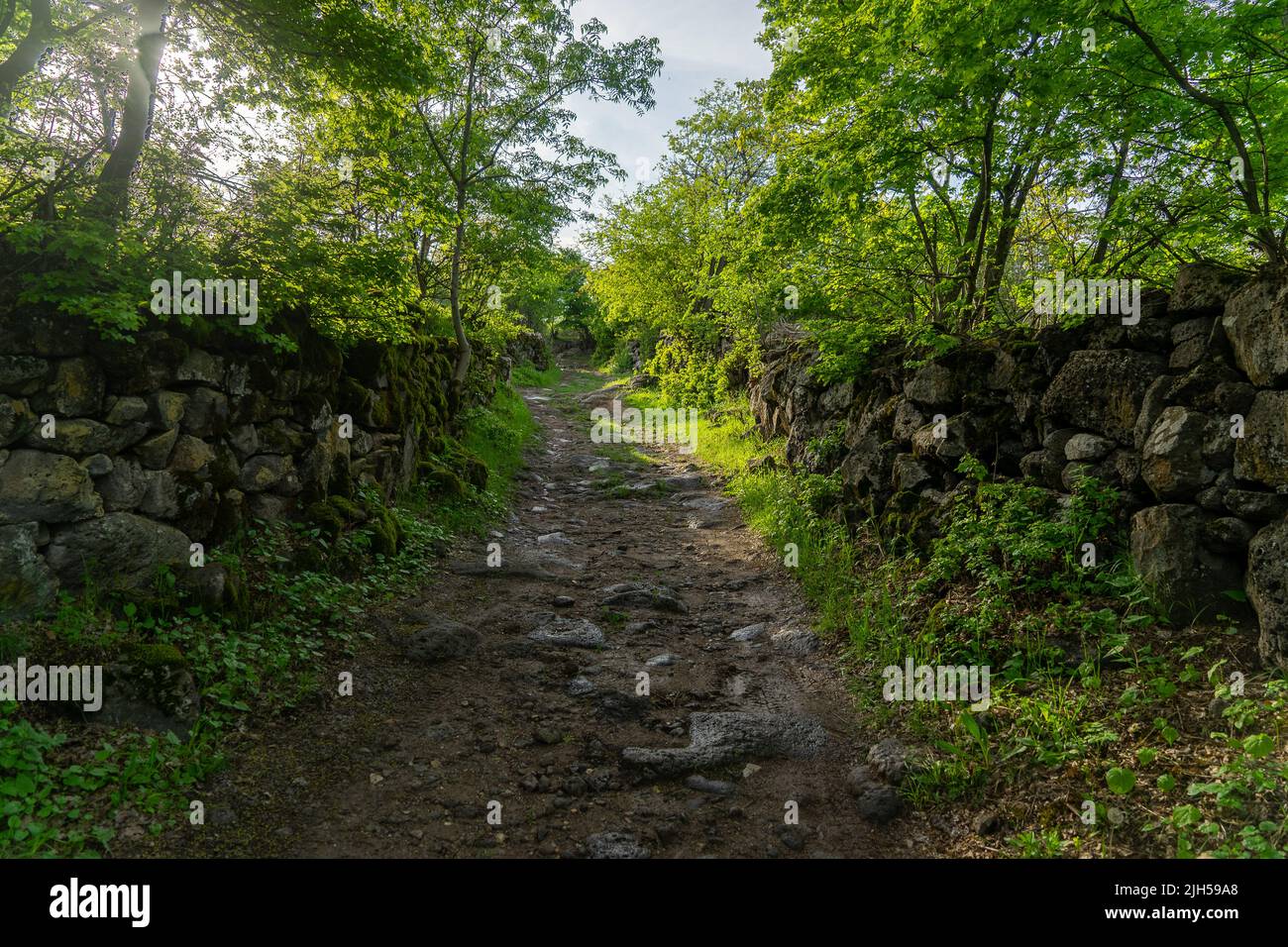 Cultural heritage of Georgia - ruins of an ancient city street road ...