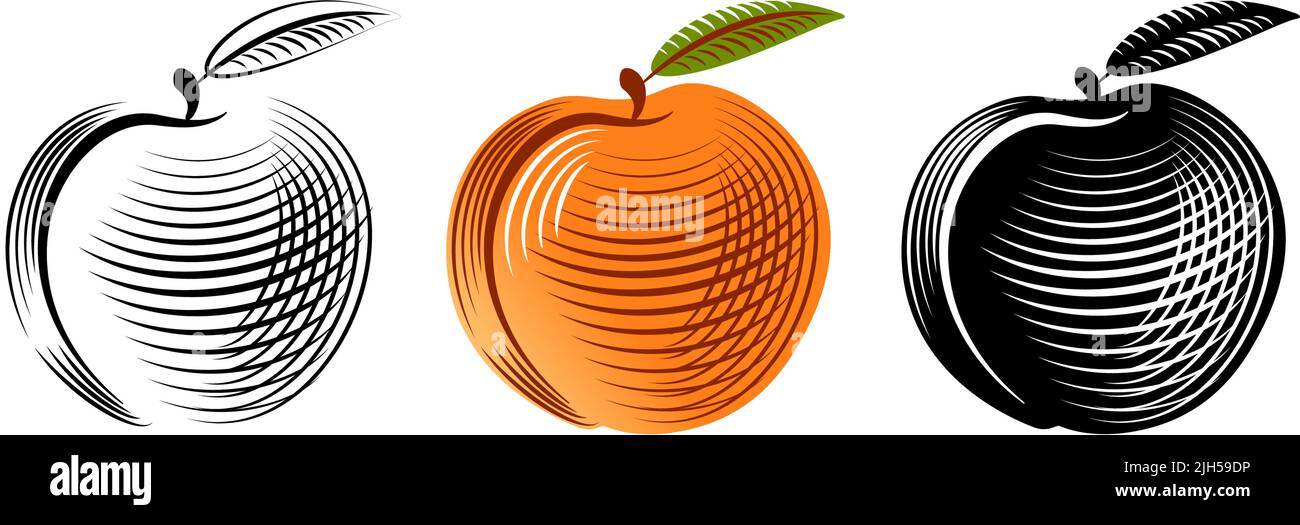 Set peaches icon, vector illustration. Peach gravure style. Peach ...