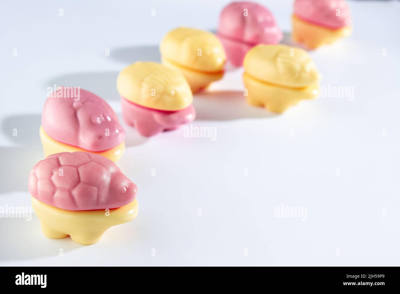 Various edible animals made from chewing marmalade with the addition of ...