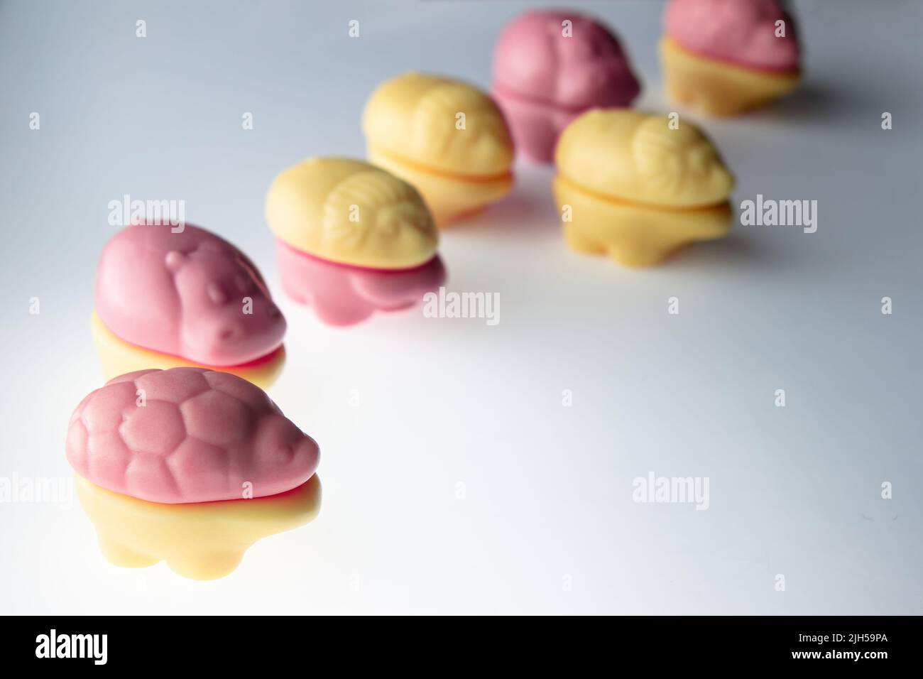 Various edible animals made from chewing marmalade with the addition of ...