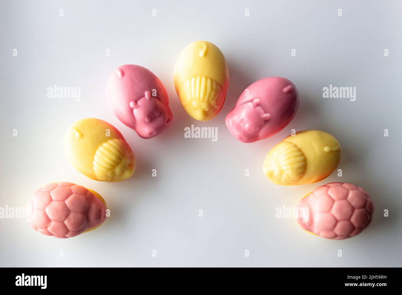 Various edible animals made from chewing marmalade with the addition of ...