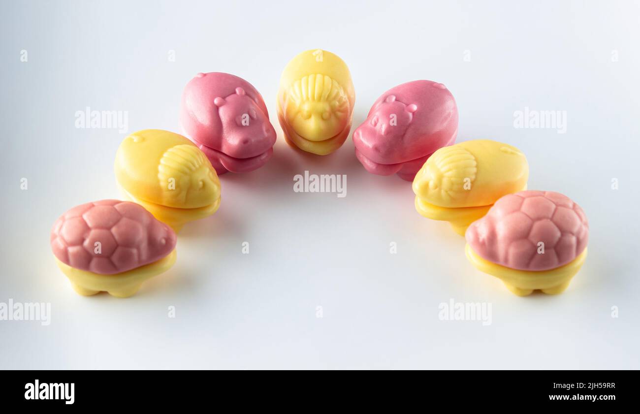 Various edible animals made from chewing marmalade with the addition of ...