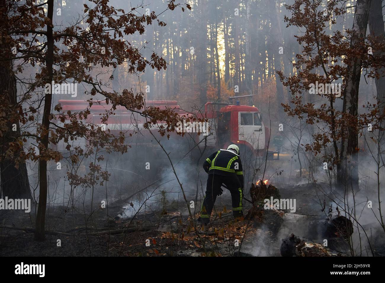 firefighters spray water to wildfire. Fireman working hard to put out ...