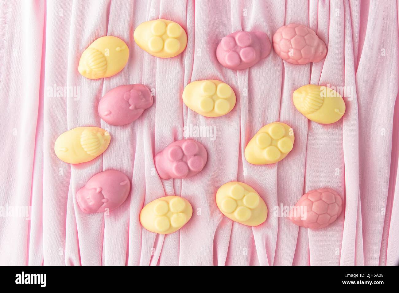 Various edible animals made from chewing marmalade with the addition of ...