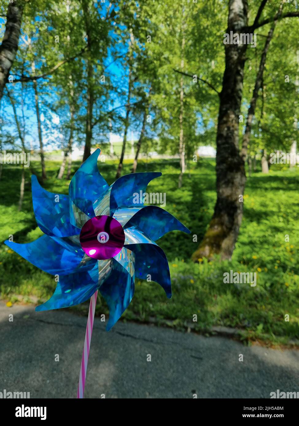 Colorful wind spinner toy in front of trees. Pinwheel in motion ...
