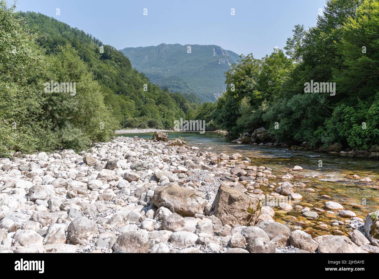 View to the river in Montenegro. Tara canyon Stock Photo - Alamy