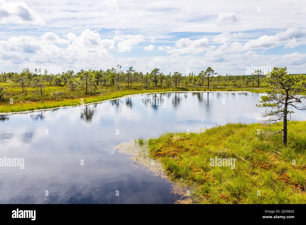 Great Kemeri Bog swamp at the Kemeri National Park in Latvia Stock ...