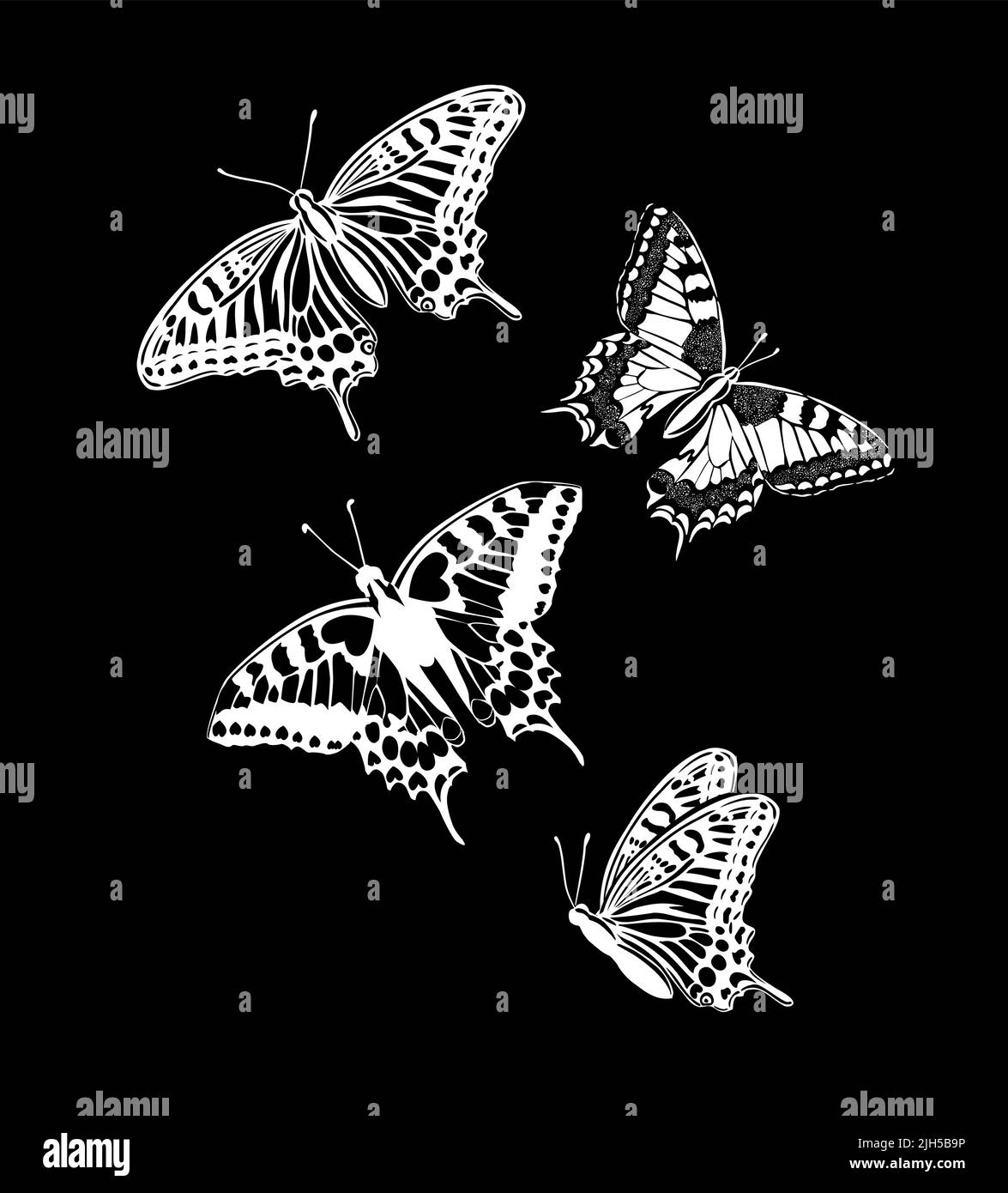 butterflies design. Flying white butterflies on a black background ...