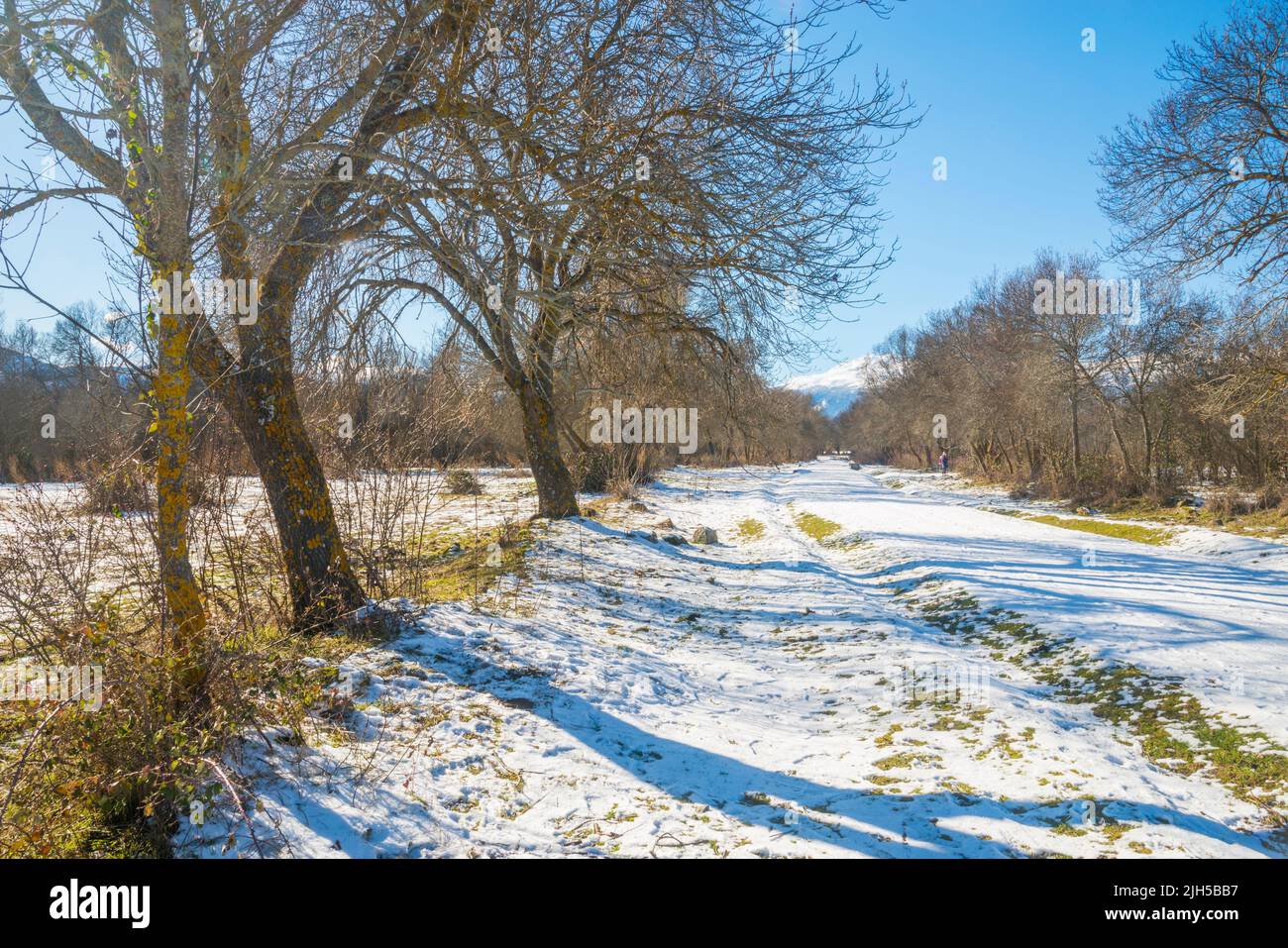 Sendero de invierno hi-res stock photography and images - Alamy