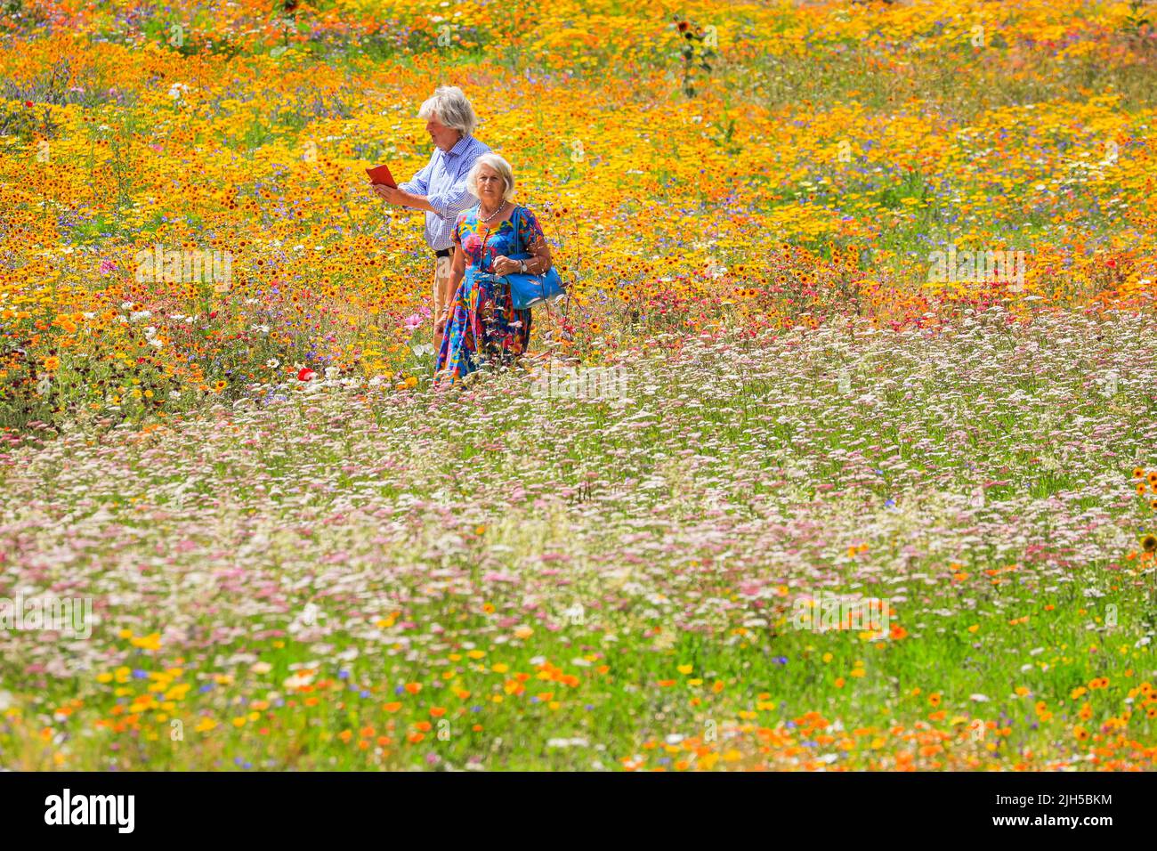 London wildflowers hi-res stock photography and images - Alamy