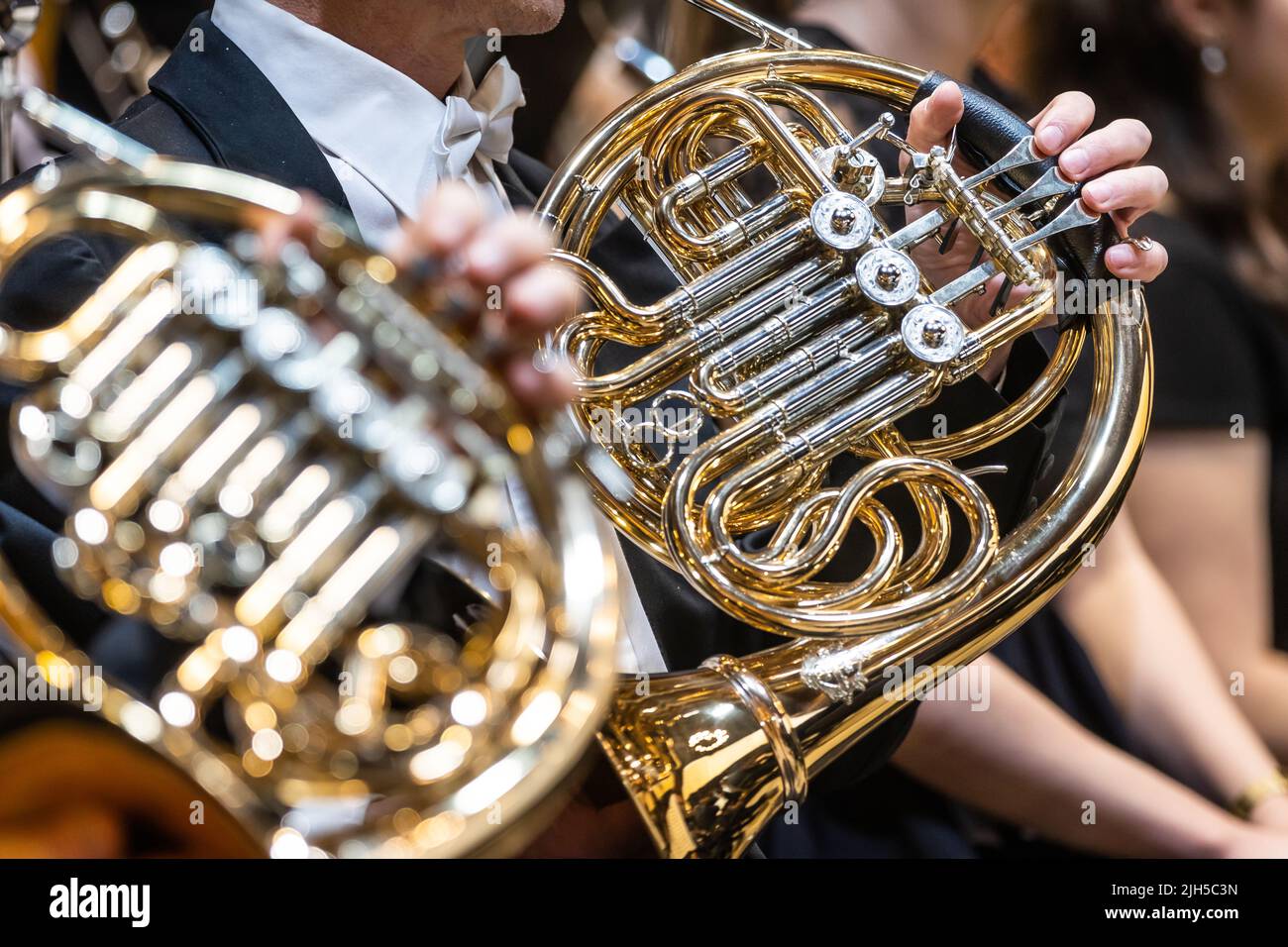 Philharmonic orchestra playing on the french horn, performance concert ...