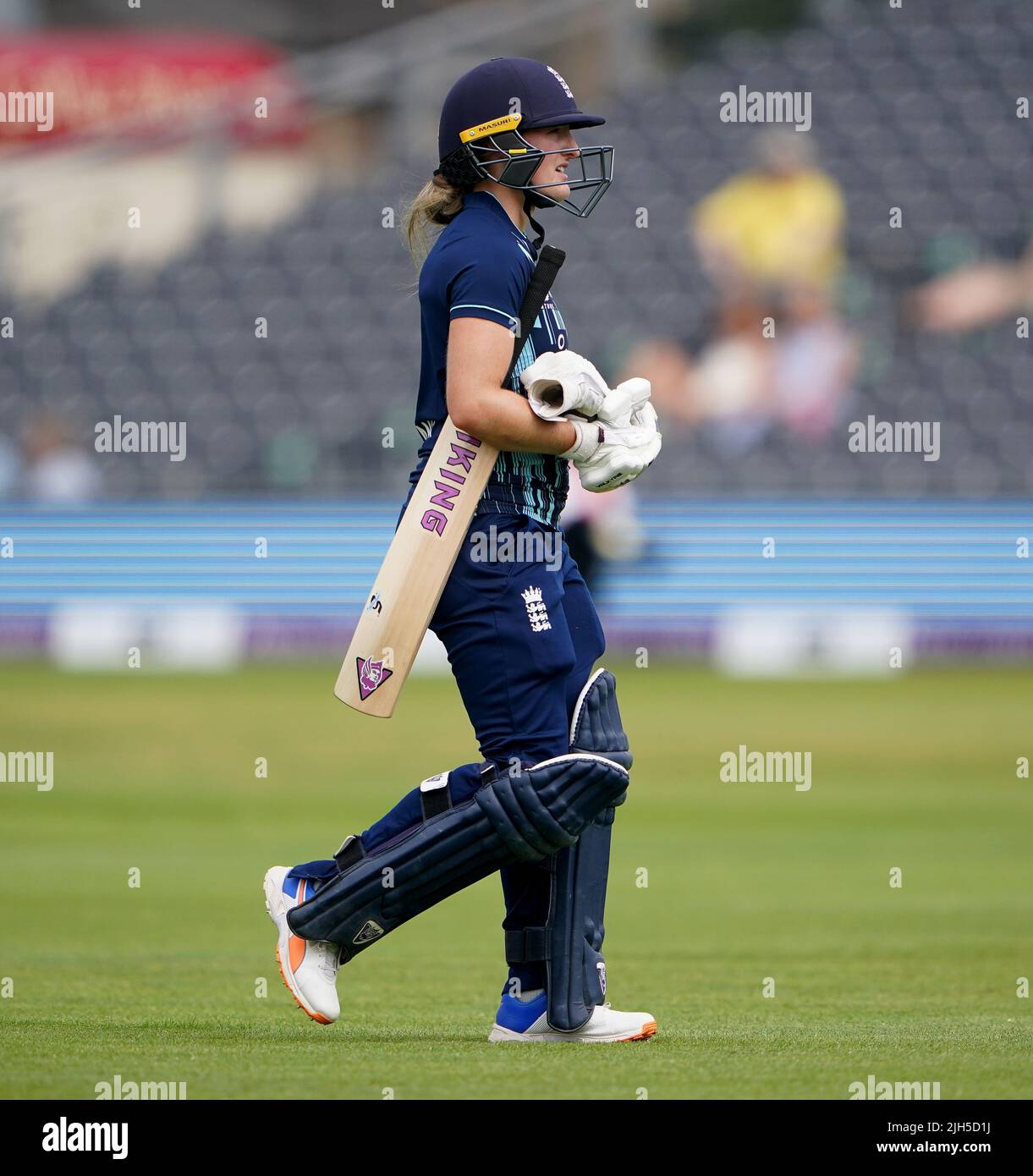 Cricket lamb hi-res stock photography and images - Alamy