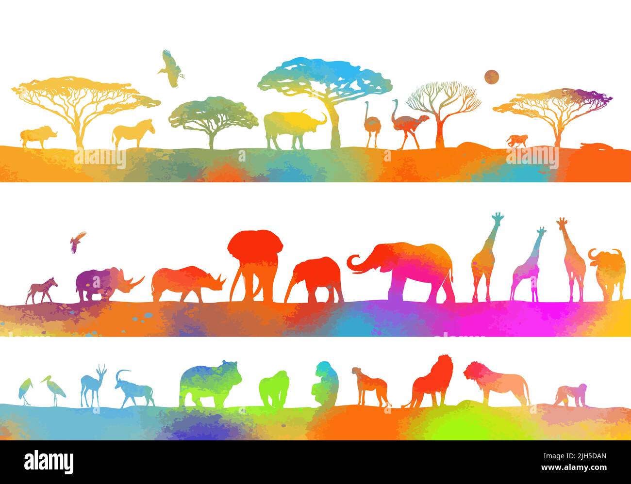 African colorful animals. Vector illustration Stock Vector Image & Art ...