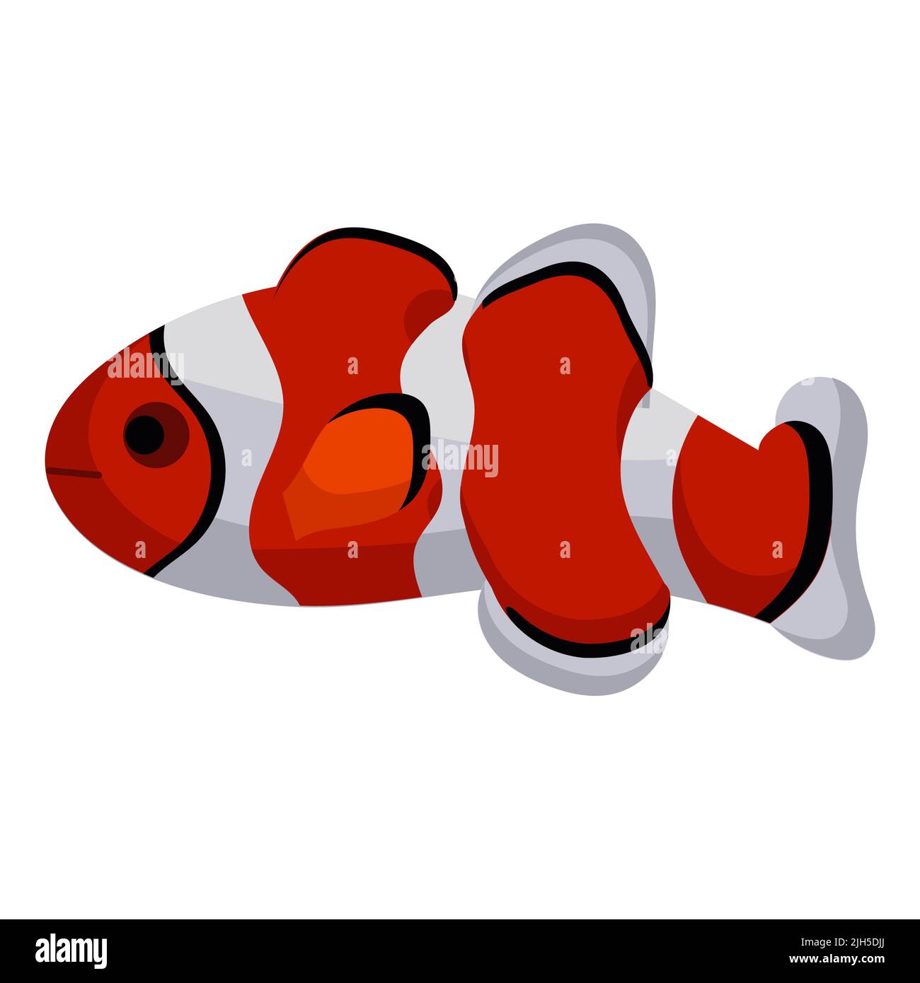 Clown fish aquarium water animal nature and vector underwater aquatic ...