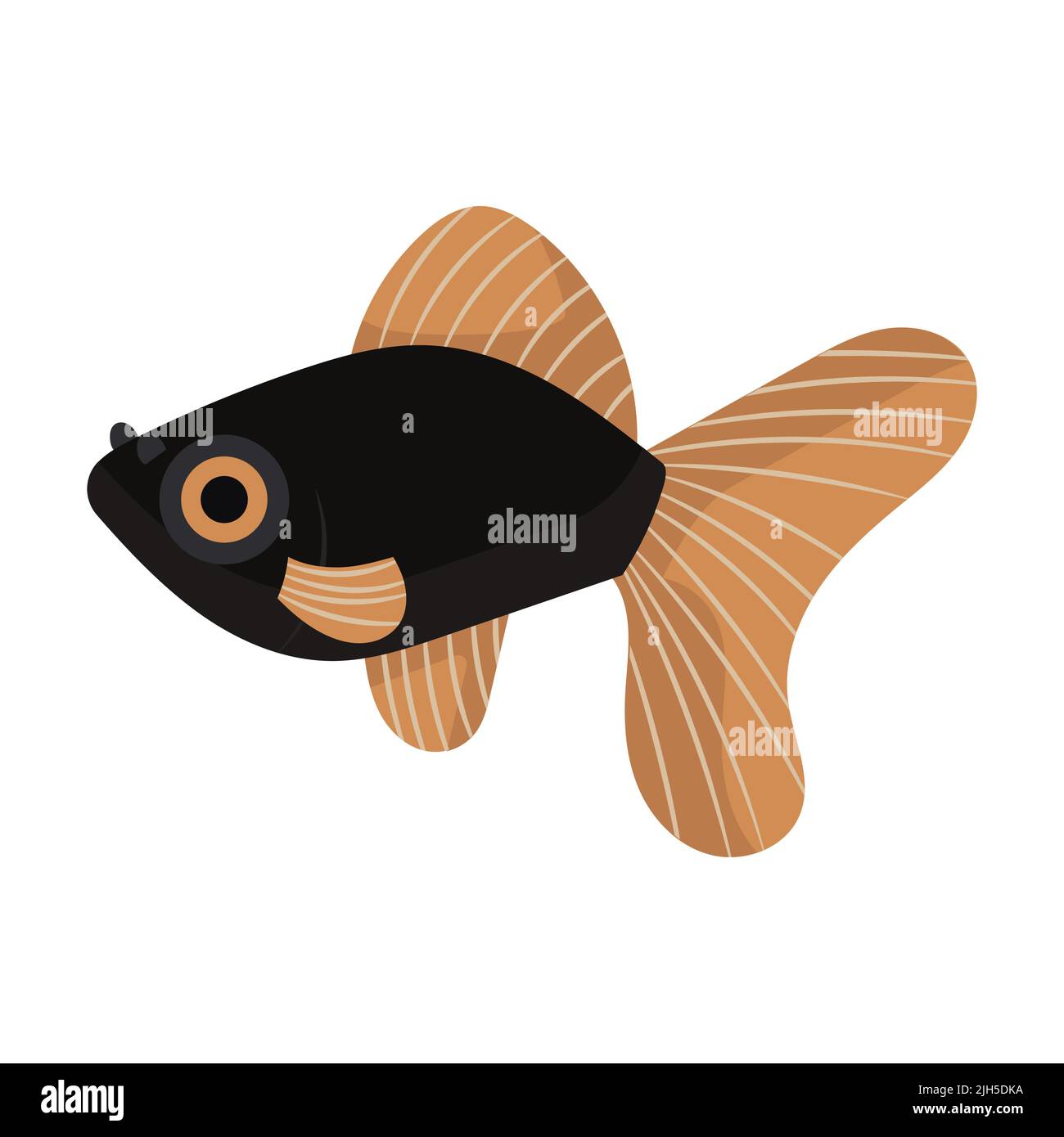 Telescope fish aquarium water animal nature and vector underwater ...