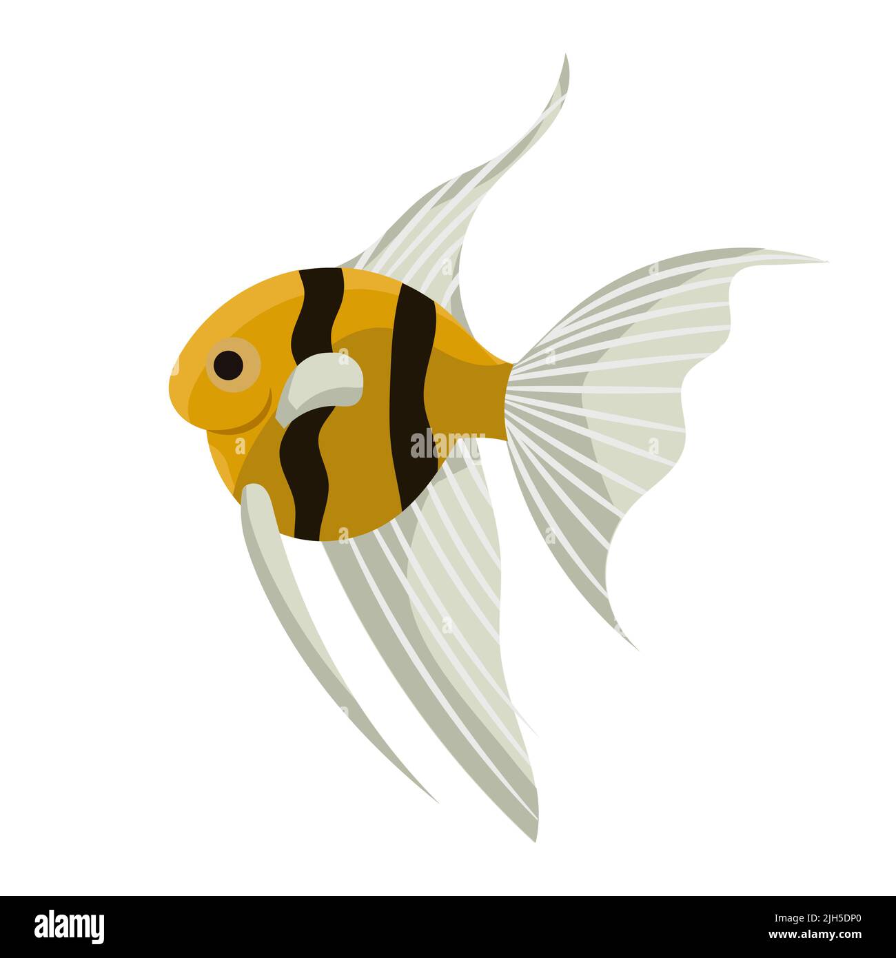 Angelfish fish aquarium illustration vector and sea tropical animal ...