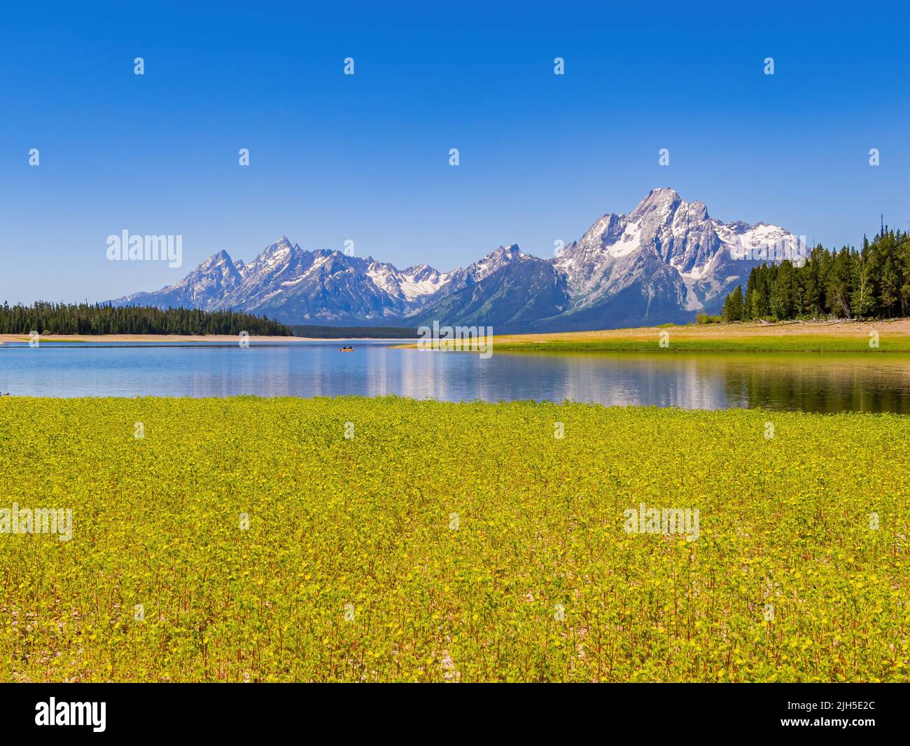 Sunny view of the Teton mountain range of Grand Teton National Park at ...