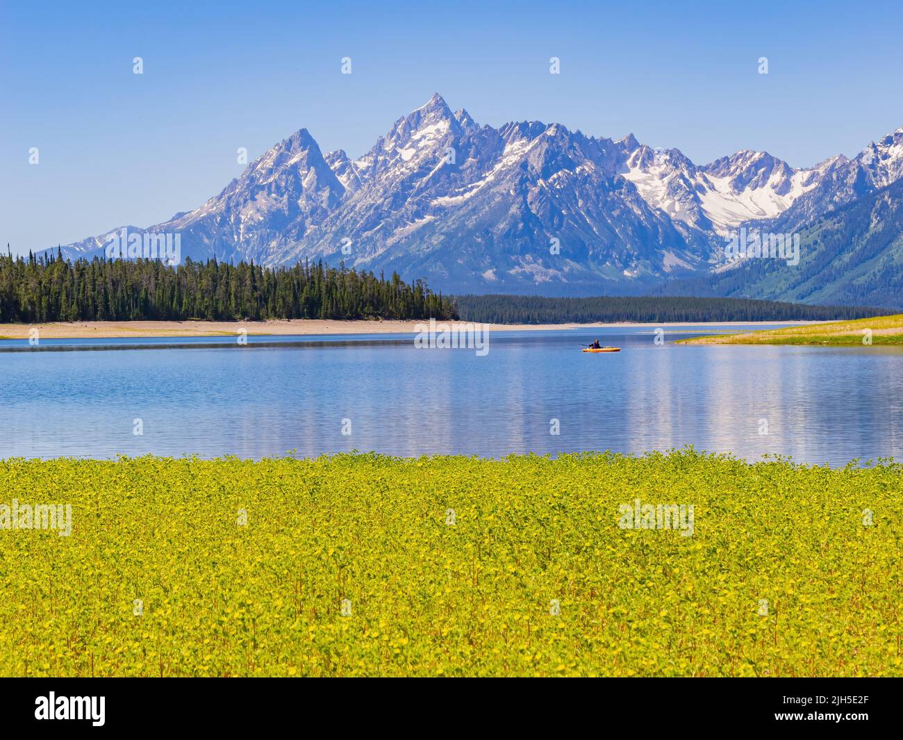 Sunny view of the Teton mountain range of Grand Teton National Park at ...
