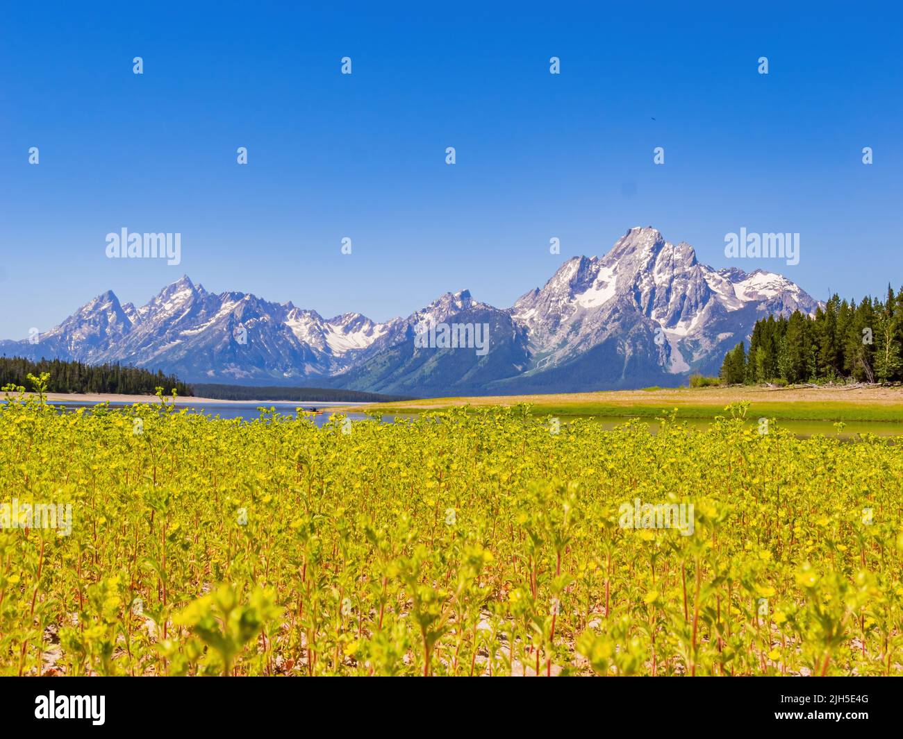 Sunny view of the Teton mountain range of Grand Teton National Park at ...