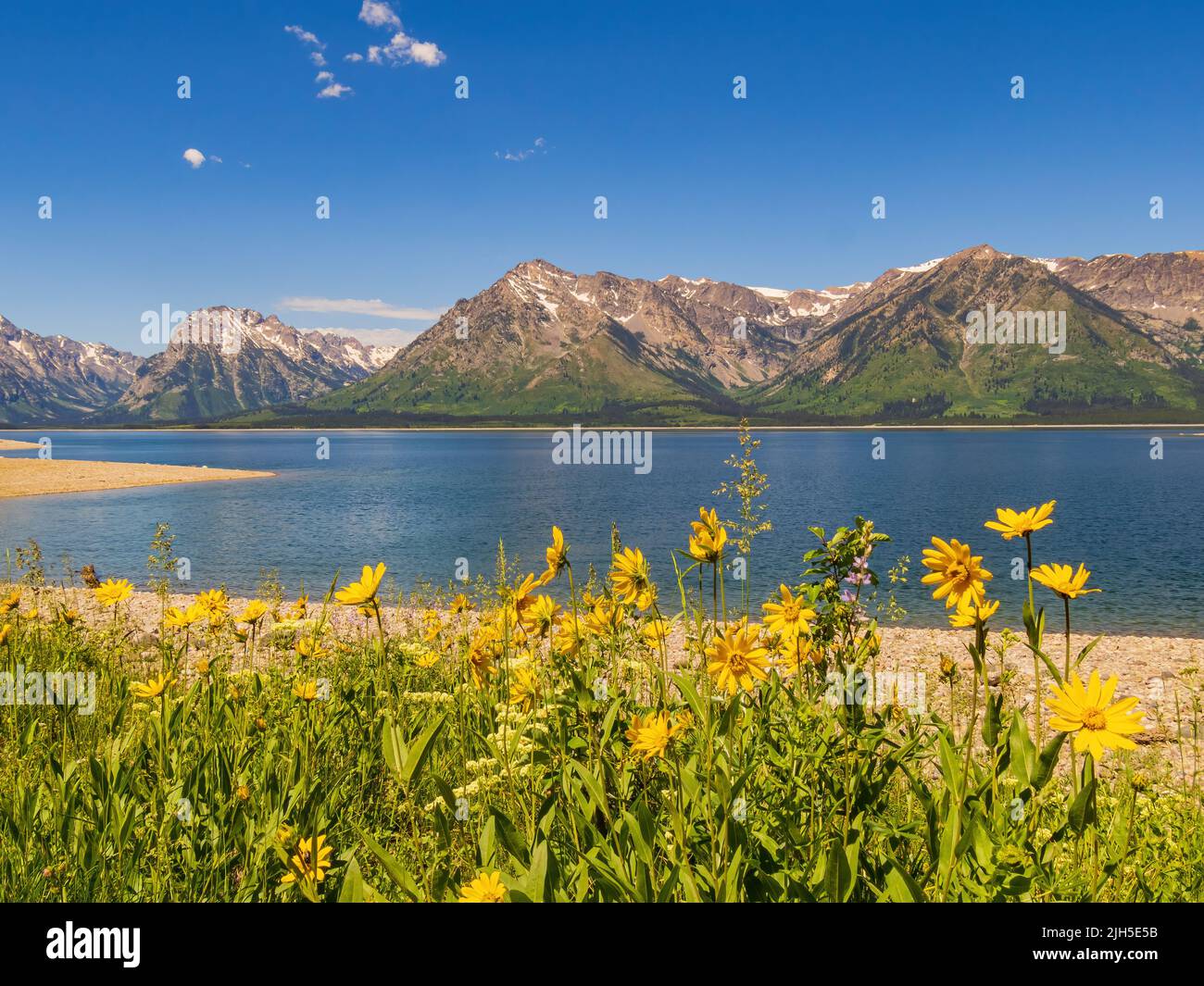 Sunny view of the Teton mountain range of Grand Teton National Park at ...