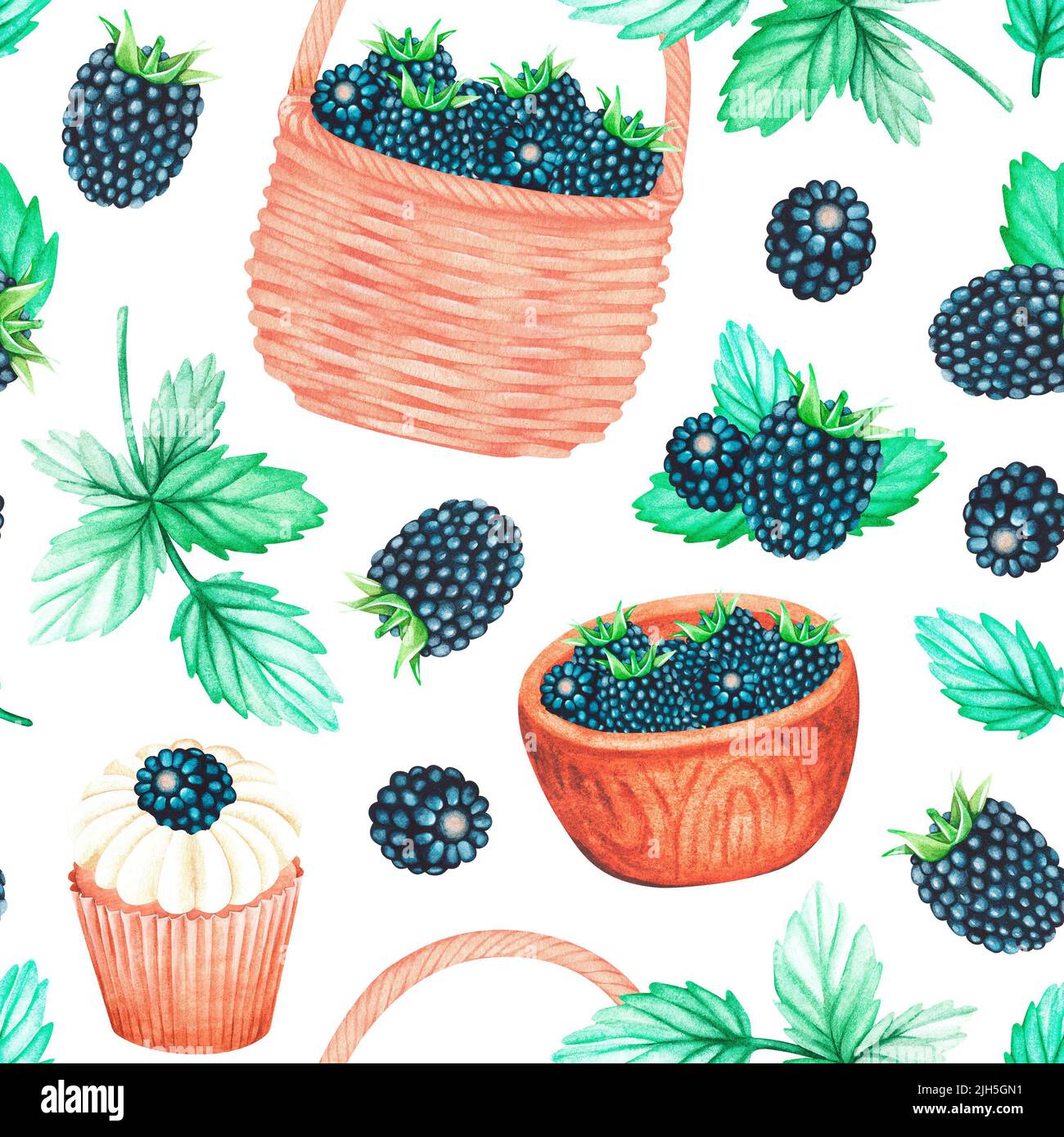 Blackberry harvest seamless pattern. Watercolor illustration. Isolated ...