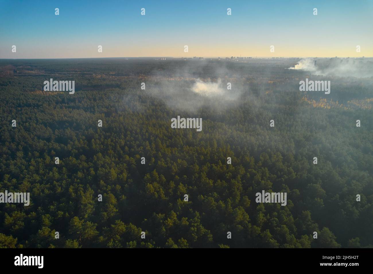 Strong fire in an empty forest. Fire spreads in a united front, strong ...