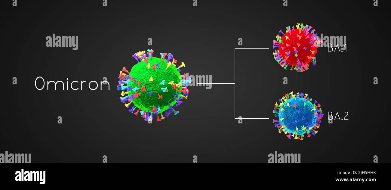 BA.1, BA.2 - SARS-CoV-2 Covid-19 coronavirus omicron variants - 3D ...