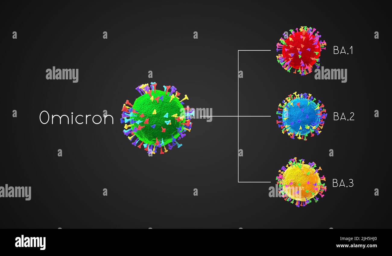 BA.1, BA.2, BA.3 - SARS-CoV-2 Covid-19 coronavirus omicron variants ...