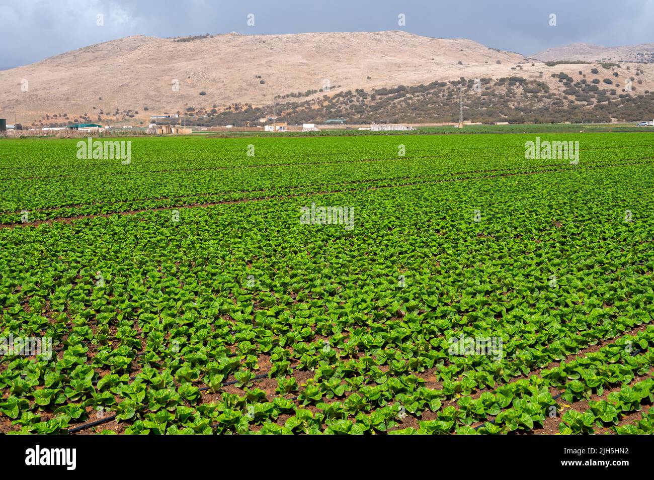 Panoramic view on agricultural valley near town Zafarraya with fertile ...