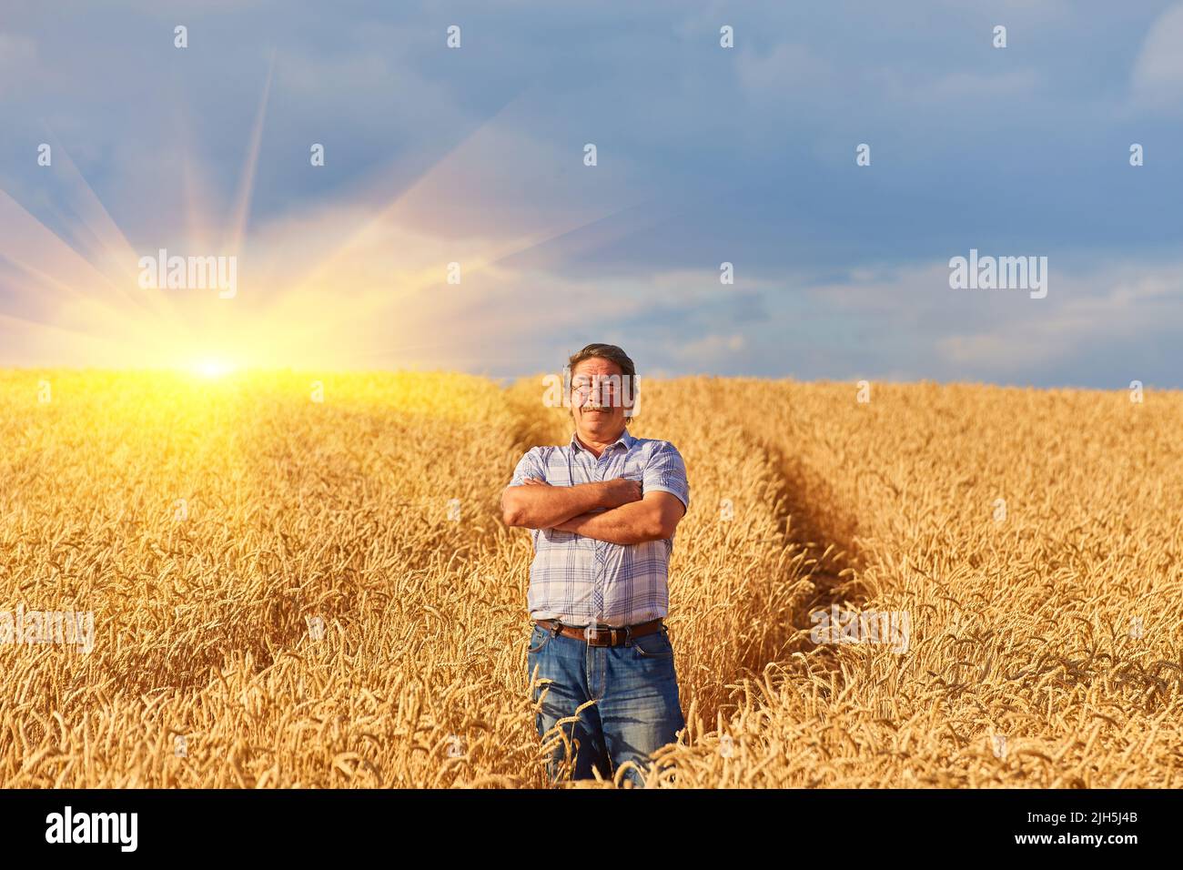 Businessman standing grain field hi-res stock photography and images ...
