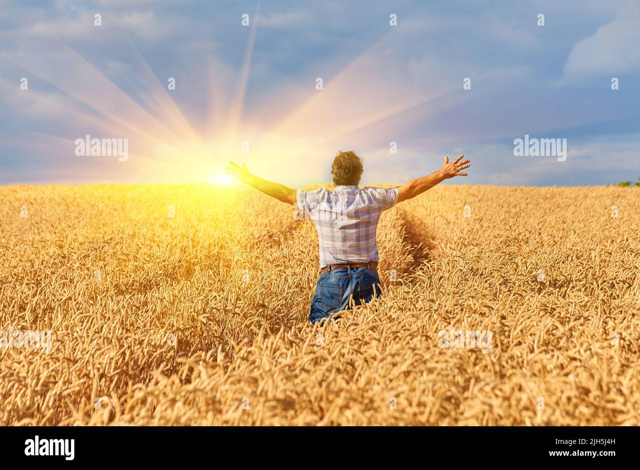 Happy farmer proudly standing in wheat field. Agronomist wearing ...