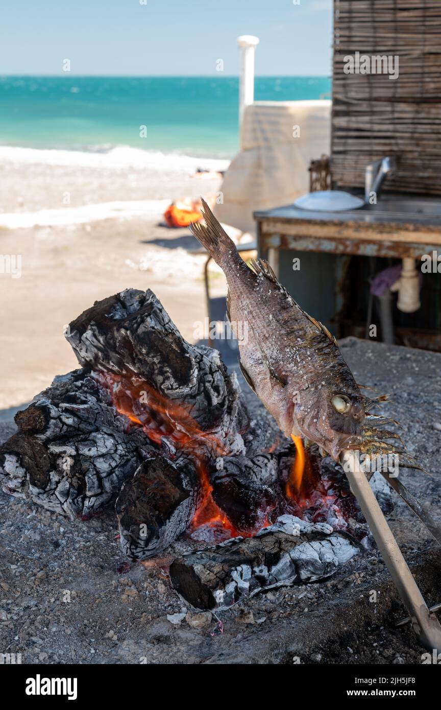 Malaga style of preparation of fresh fish, catch of the day, on skewers ...