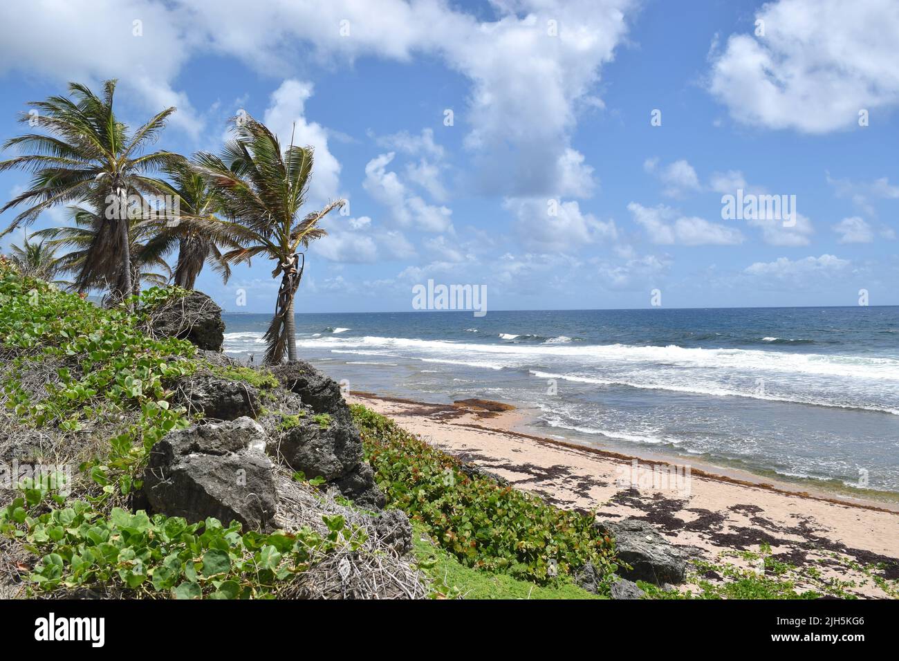 Stunning view on Bathsheba beach Barbados Stock Photo - Alamy