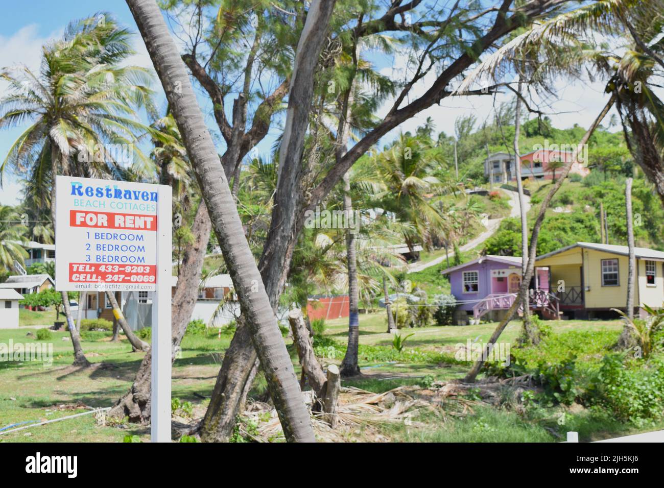 For rent sign street view in Barbados Bathsheba beach Stock Photo - Alamy