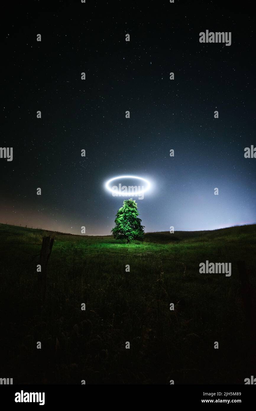 Drone Halo over a Tree Stock Photo - Alamy