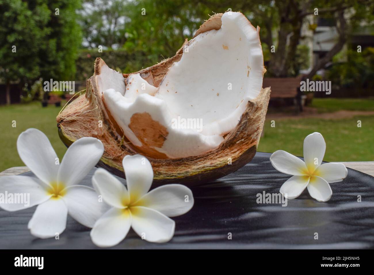 Half broken tender coconut. Fresh green coconut fruit organic edible ...
