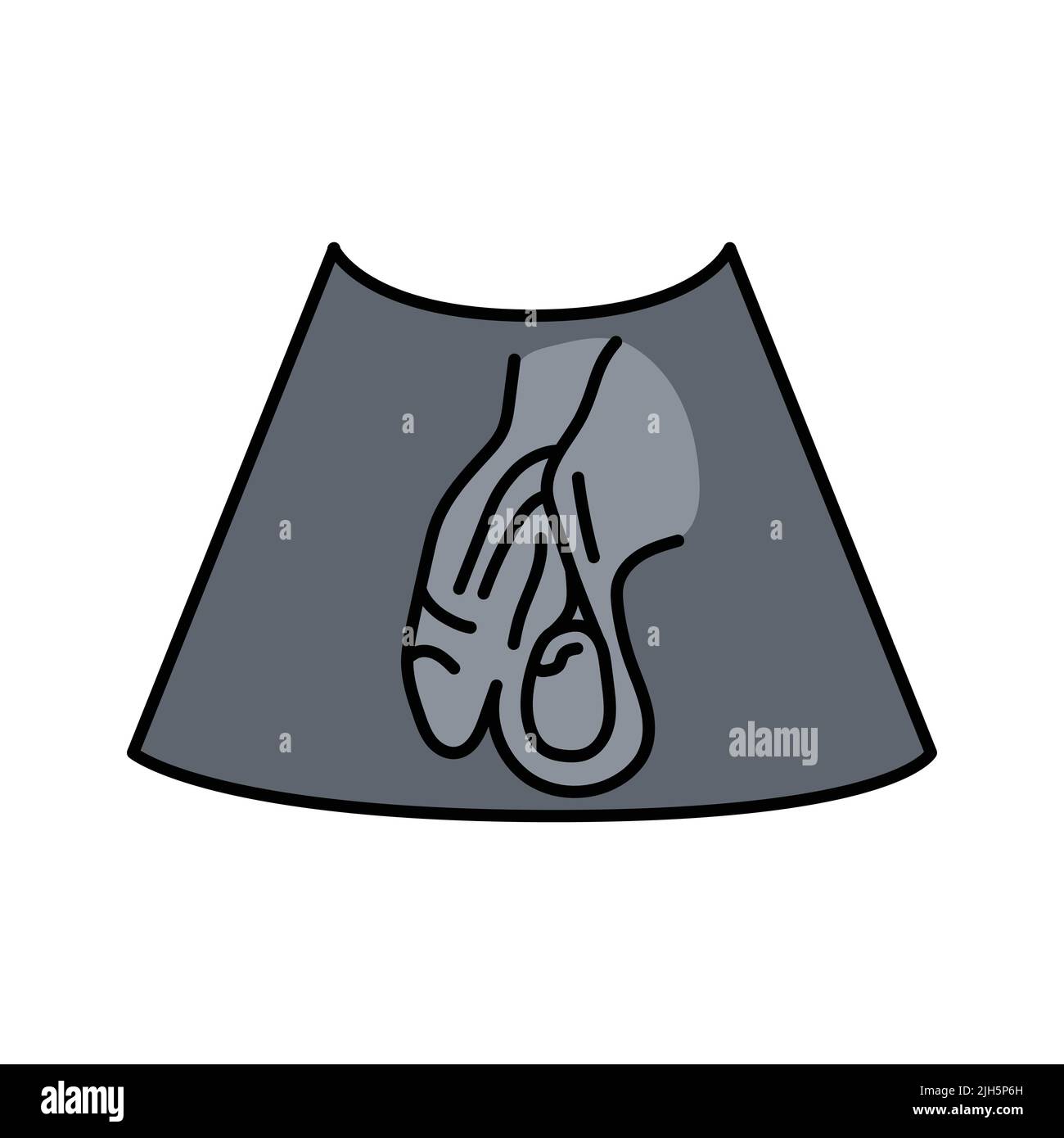 Ultrasound male reproductive system color line illustration ...