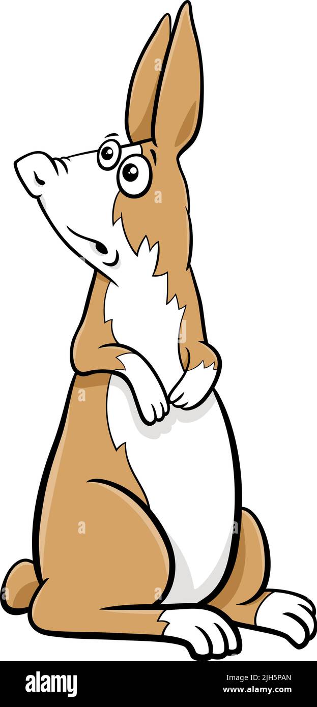 Cartoon illustration of funny dwarf rabbit comic animal character ...