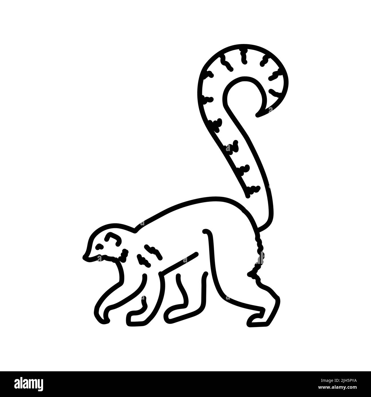 Lemur color line illustration. Animals of Africa Stock Vector Image ...